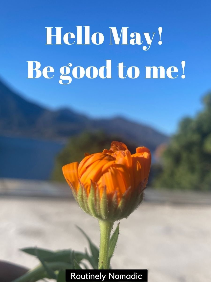 Short, Cute and Funny May Letter Board Quotes and Sayings - Routinely ...