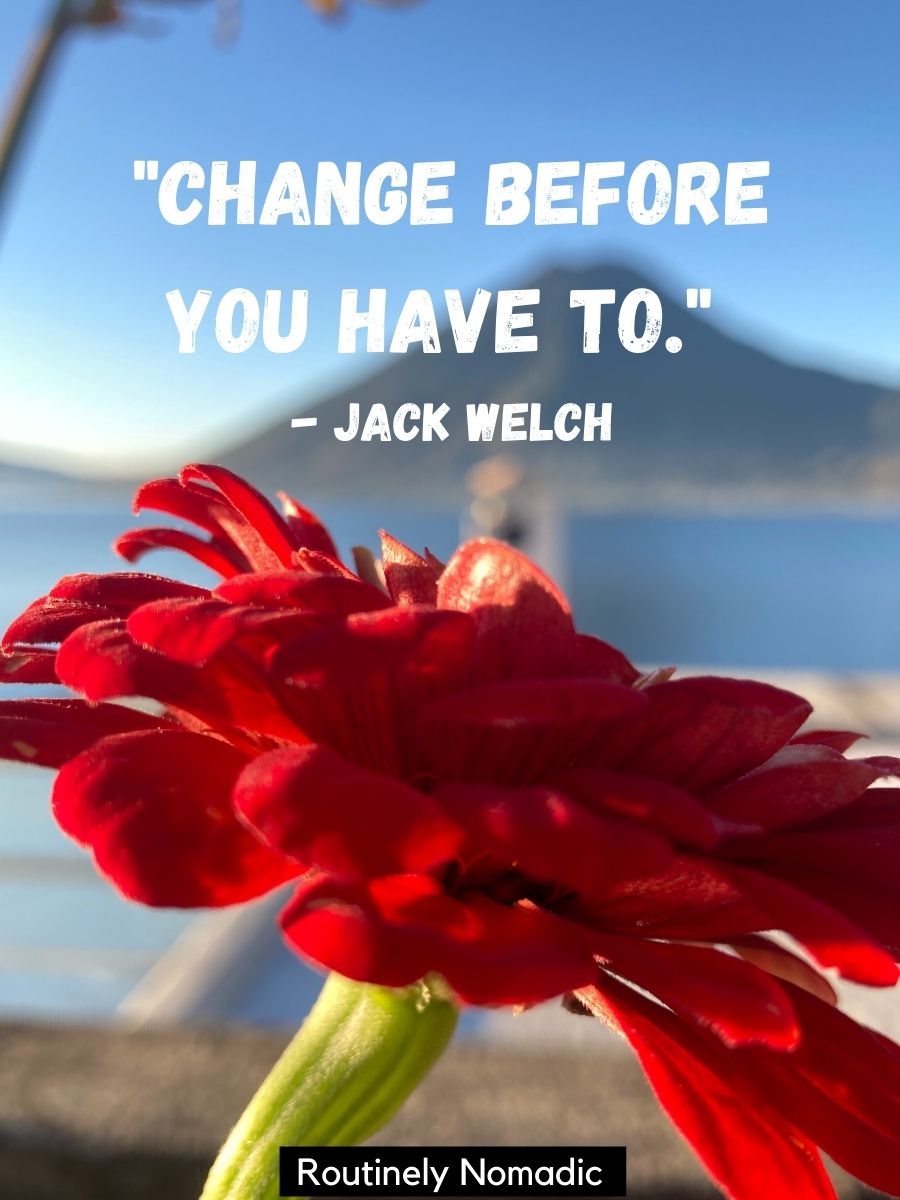 The 260 Best Short Motivational Quotes for Life’s Daily Inspiration ...