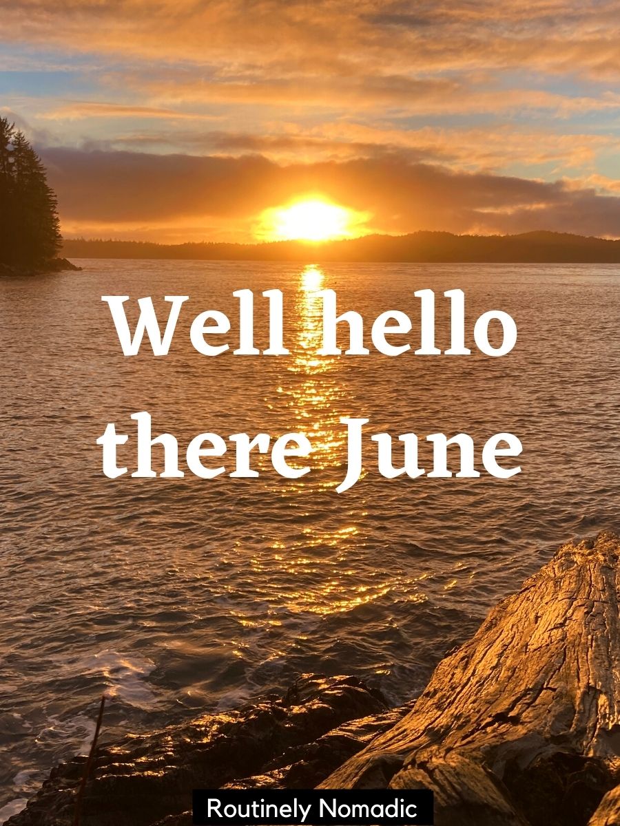 125 Hello June Quotes for that Happy to Welcome a New Month Aesthetic ...