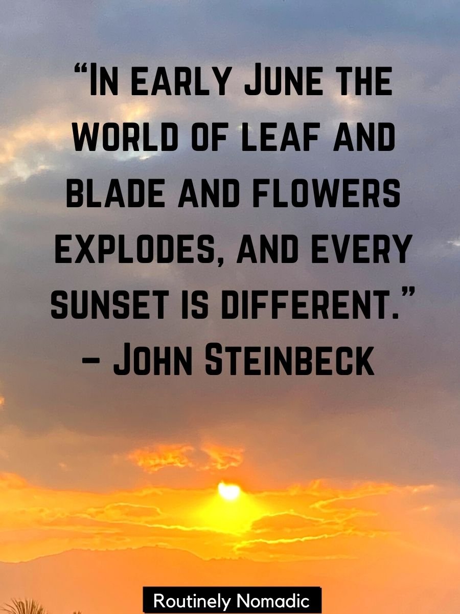 125 Hello June Quotes for that Happy to Welcome a New Month Aesthetic ...