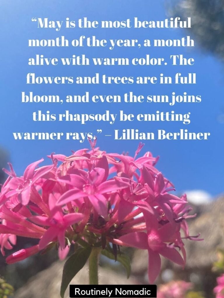 215 Hello May Quotes for that Happy to Welcome a New Month Aesthetic ...