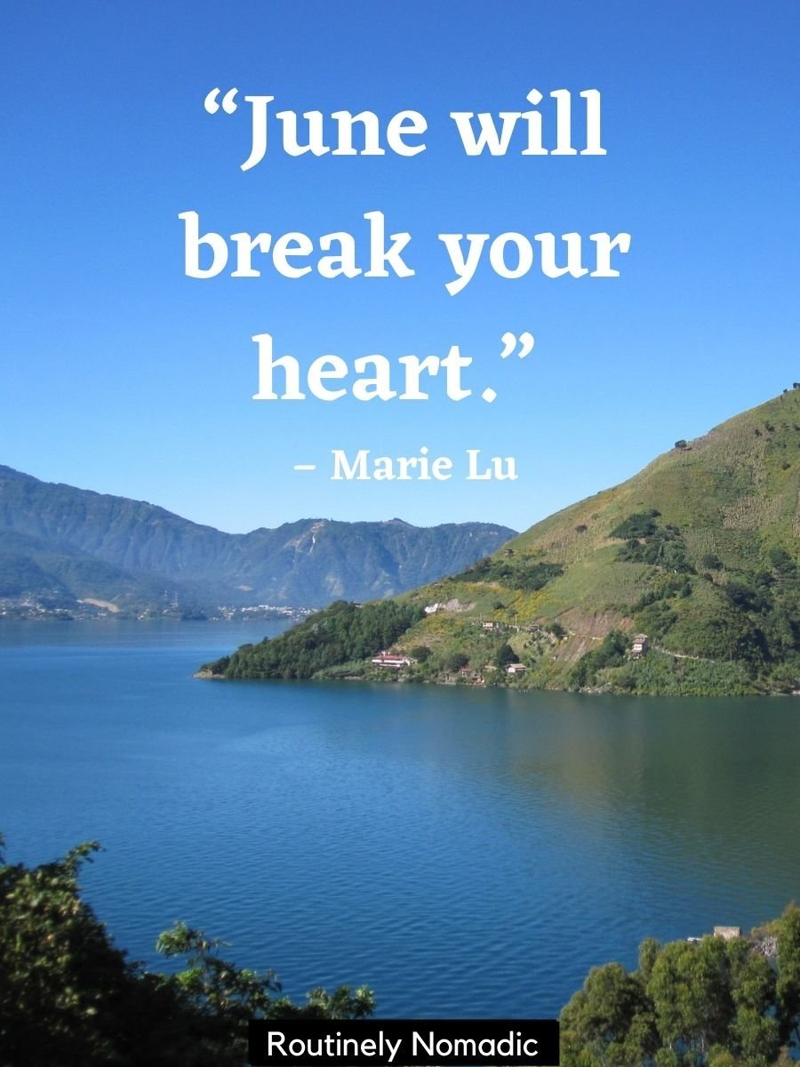 125 Hello June Quotes for that Happy to Welcome a New Month Aesthetic ...