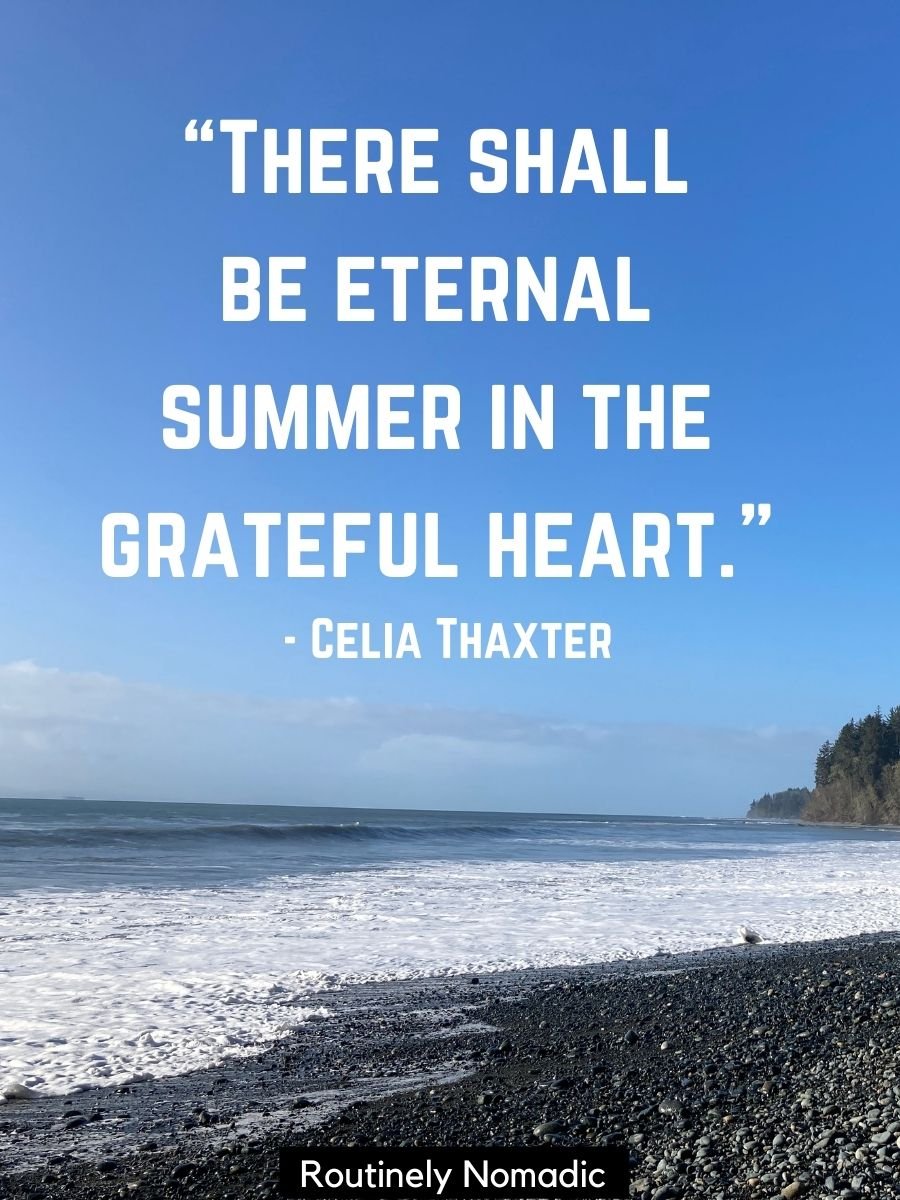 100 Short Summer Quotes for Instagram for those Summertime Vibes ...