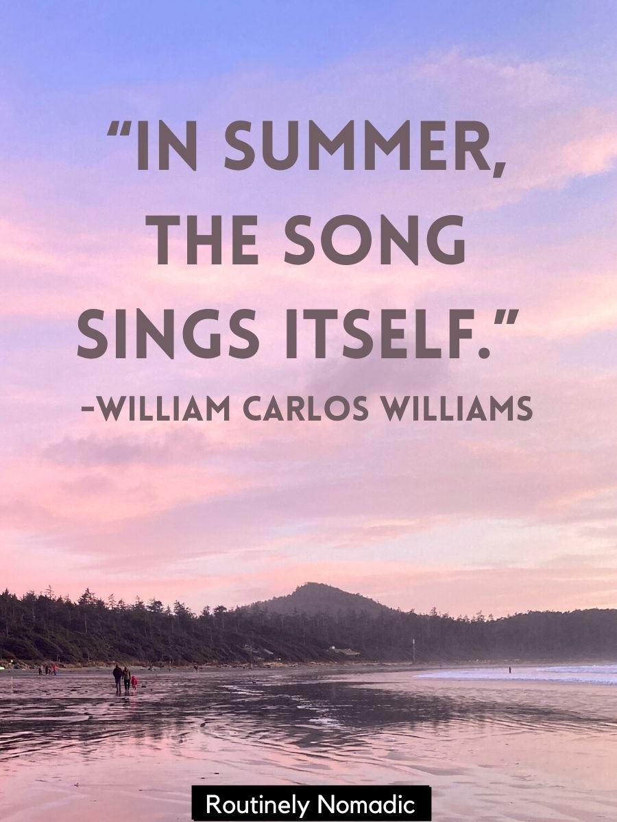 75 Funny Summer Quotes for those Amusing Summertime Feels - Routinely ...