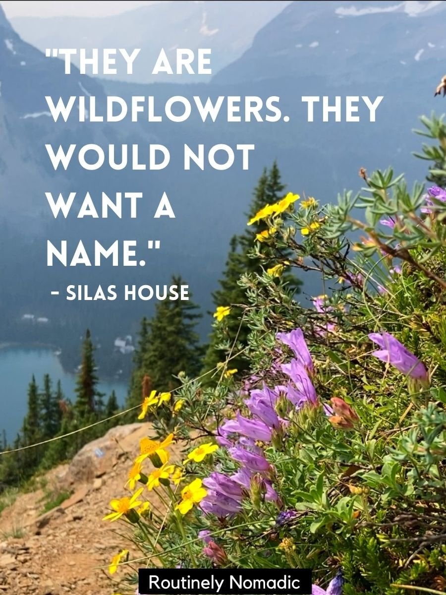 100 Perfect Wildflower Quotes, Poems and Captions - Routinely Shares