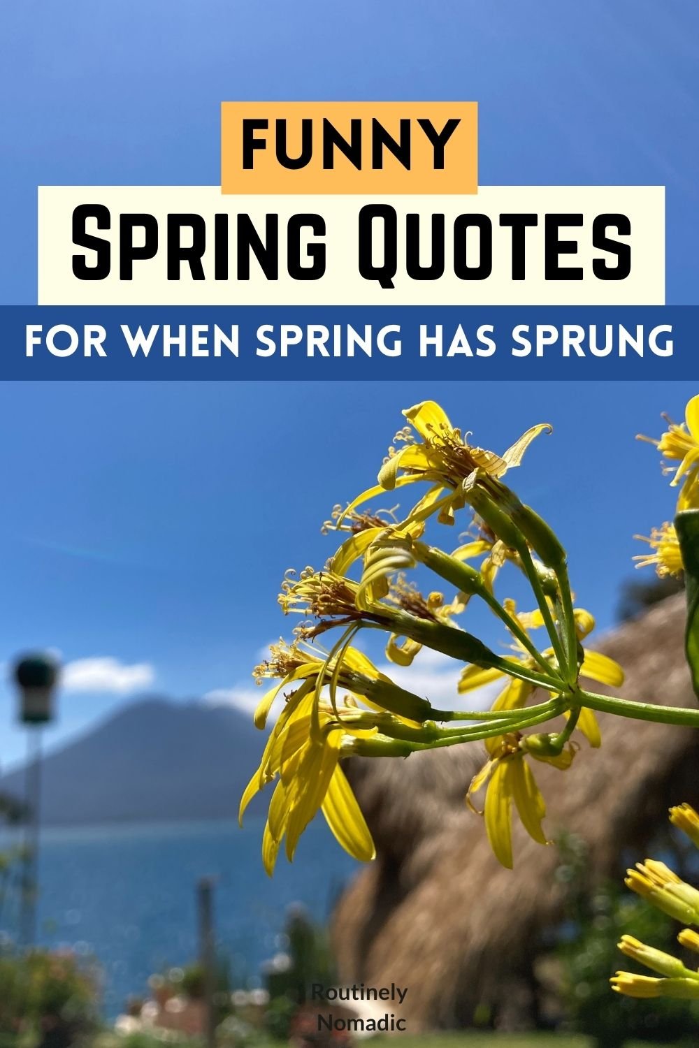 115 Funny Spring Quotes to Add Humor to Your Springtime - Routinely Shares