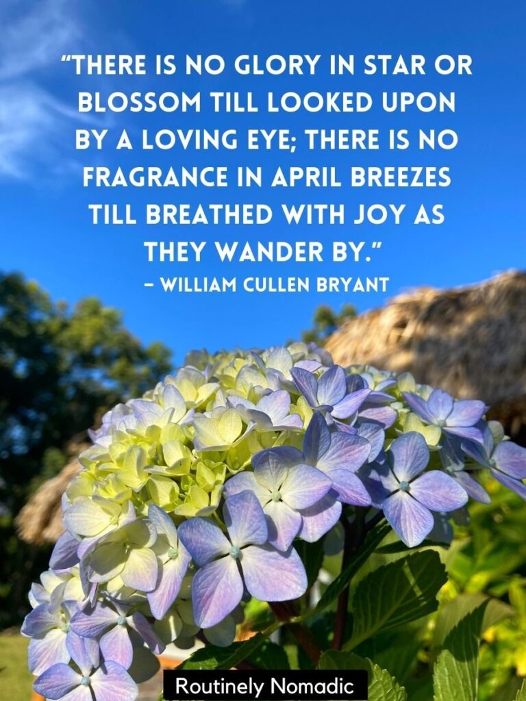100 Welcome April Quotes for When You are Happy to Say Hello to Spring ...