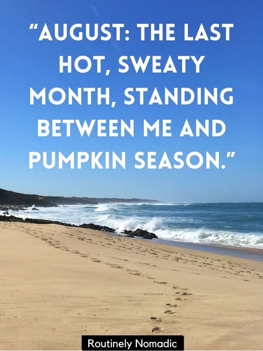 100 Cute Summer Sayings for Signs and Kids for that Summery Vibe ...