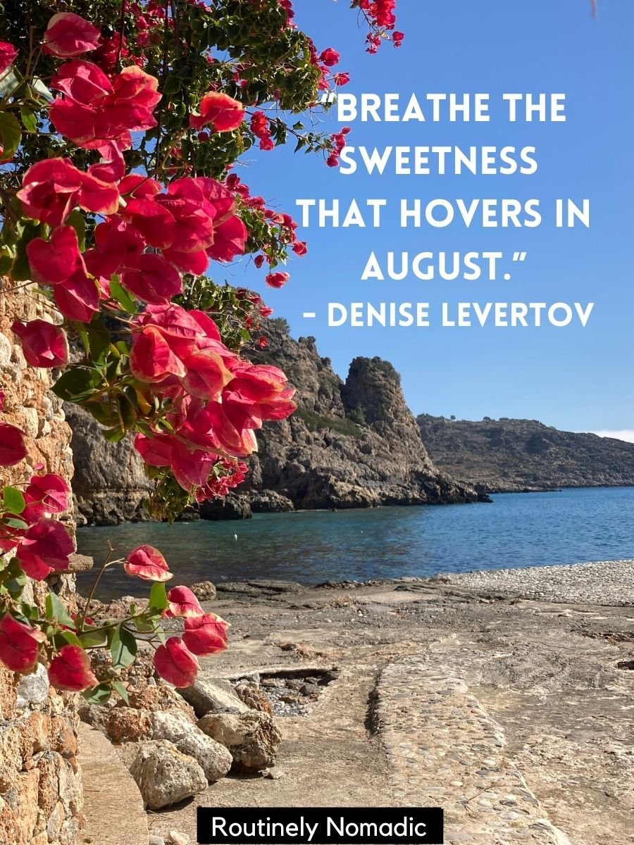 100 Best Welcome August Captions to Say Hello to the Best Summer Month ...