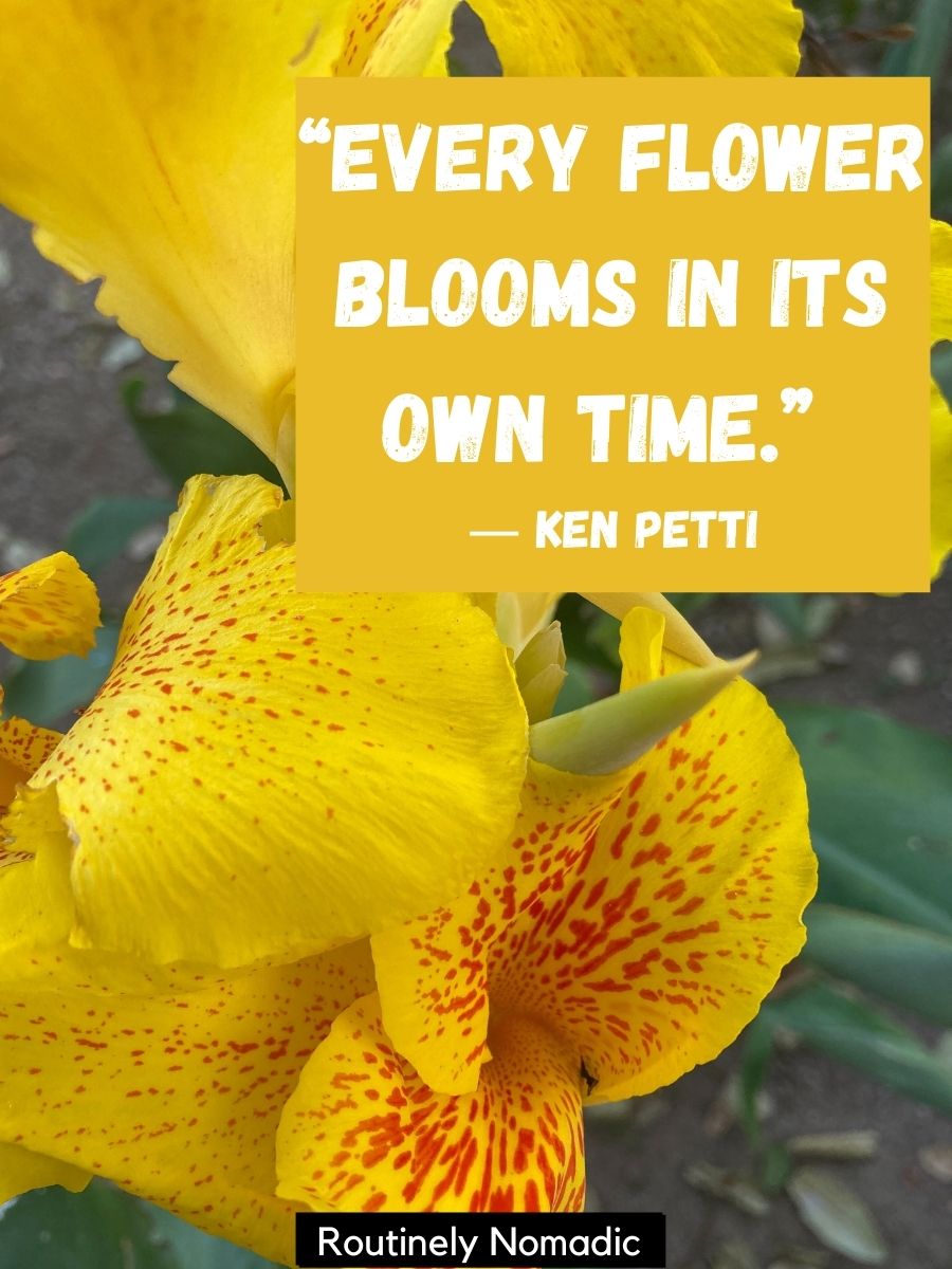 120 Bloom Quotes: Perfect Blooming Flower Sayings - Routinely Shares