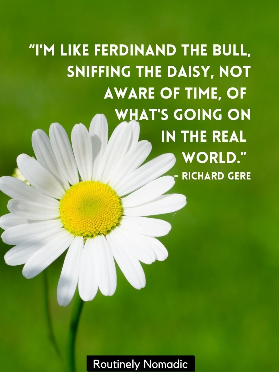 115 Daisy Quotes and Captions to Brighten Your Day - Routinely Shares