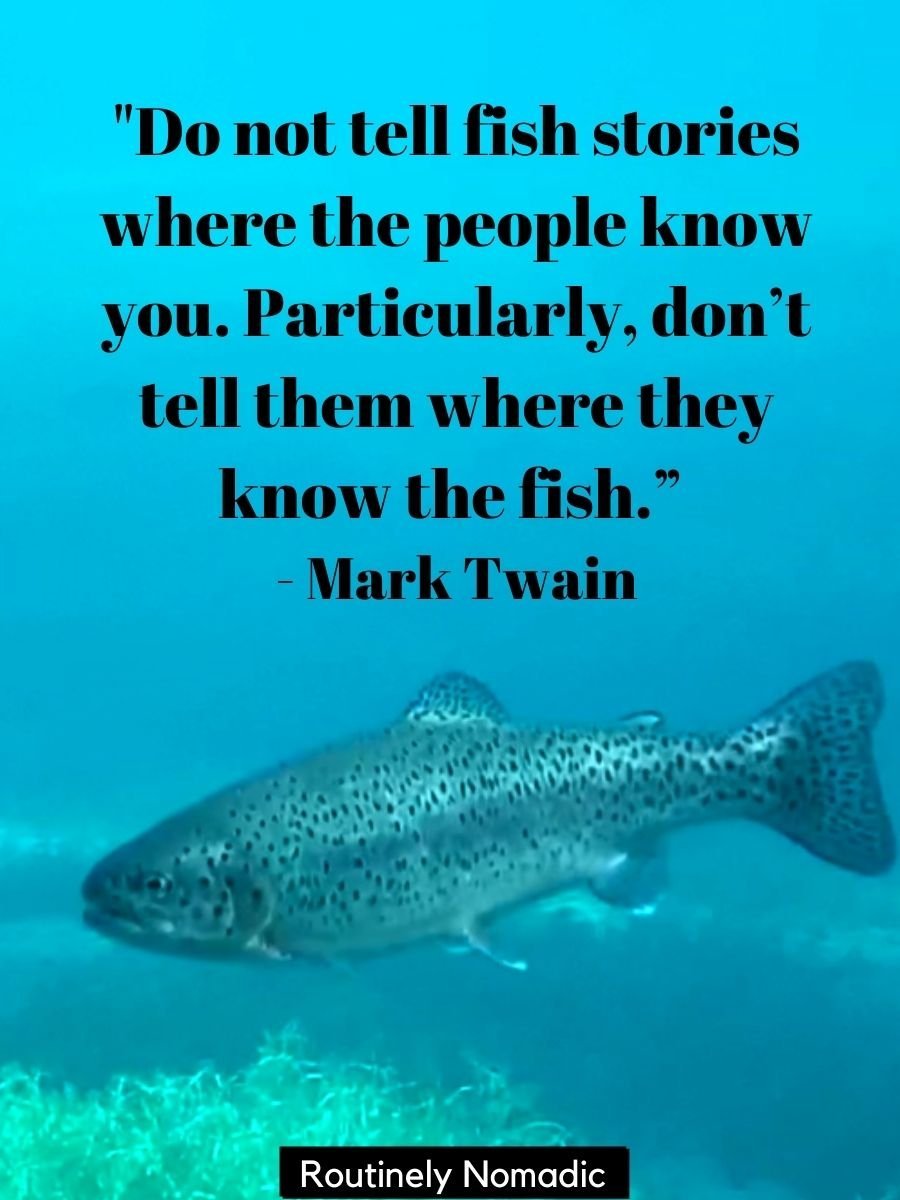 100 Funny Fishing Quotes That Will Reel-y Make You Laugh - Routinely Shares