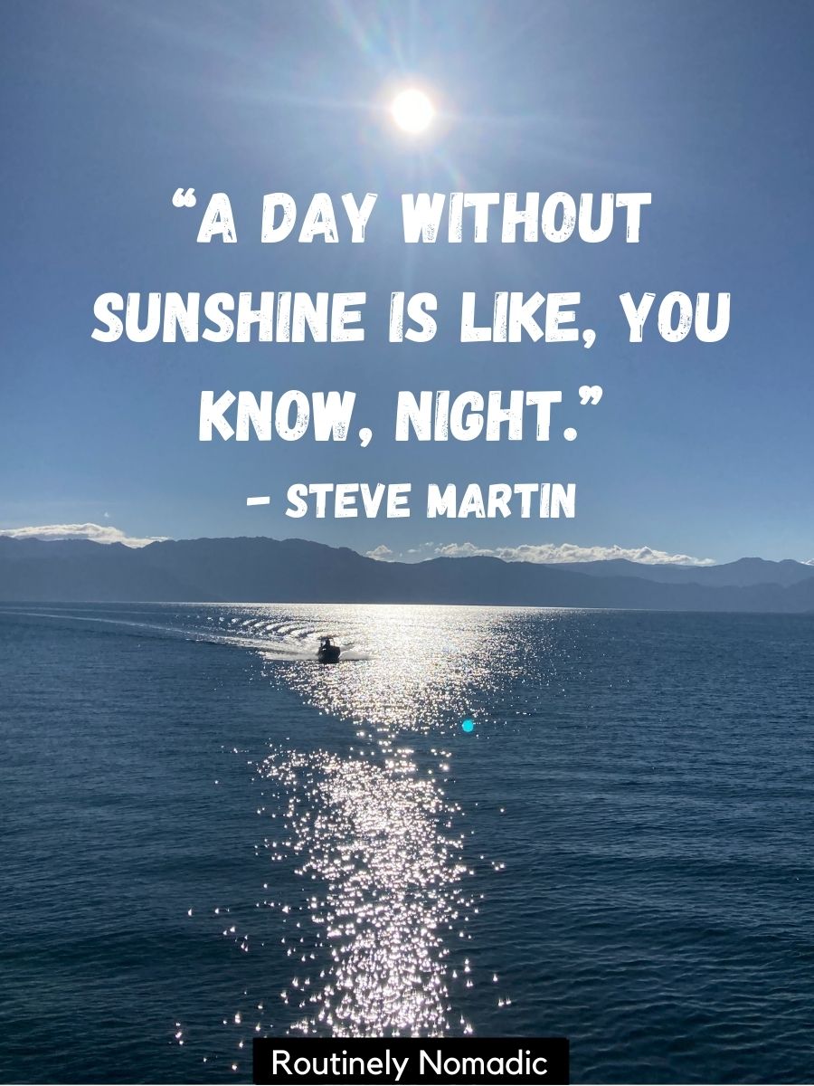 100 Short Funny Quotes for When Life is Hilarious and You Want to Laugh ...