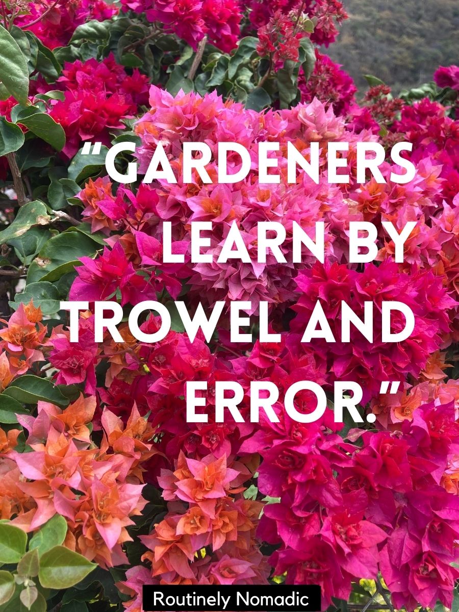 100 Garden Quotes for That Green Thumb - Routinely Shares