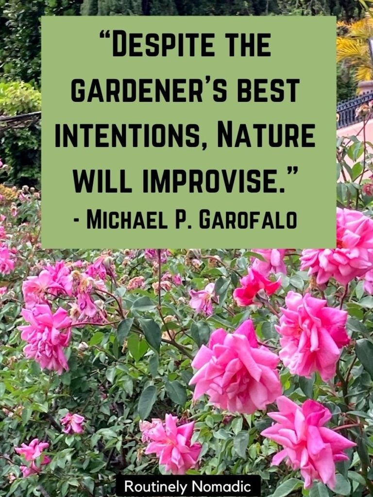100 Garden Quotes for That Green Thumb - Routinely Shares