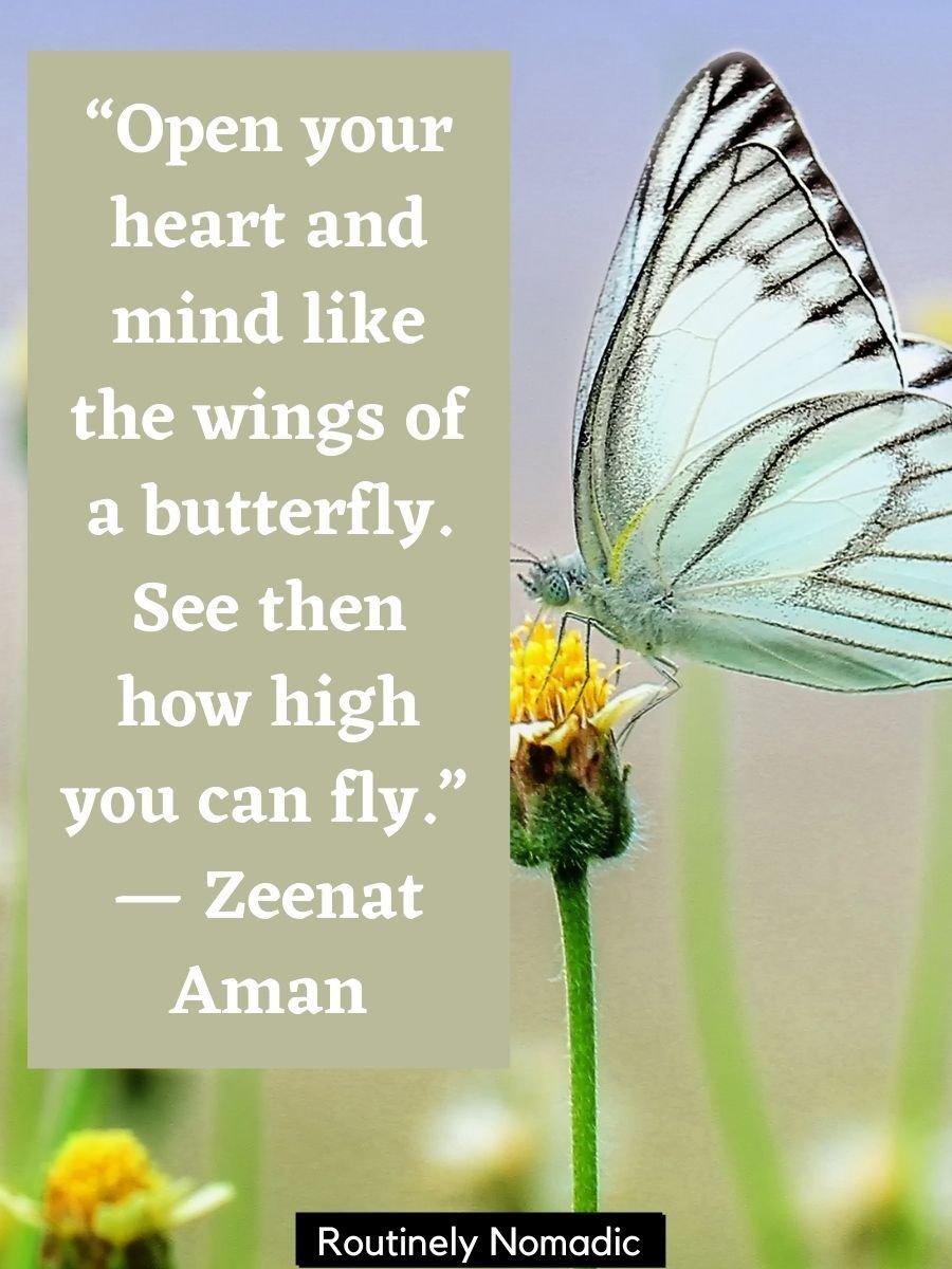 100 Inspring Short Butterfly Quotes for Instagram for When Beauty ...