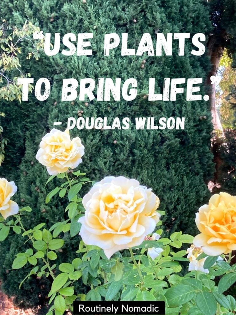 100 Garden Quotes for That Green Thumb - Routinely Shares