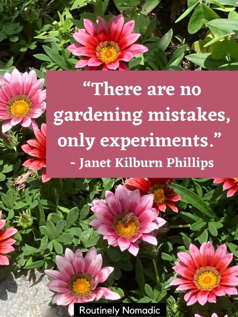 125 Short Garden Quotes for Instagram - Routinely Shares