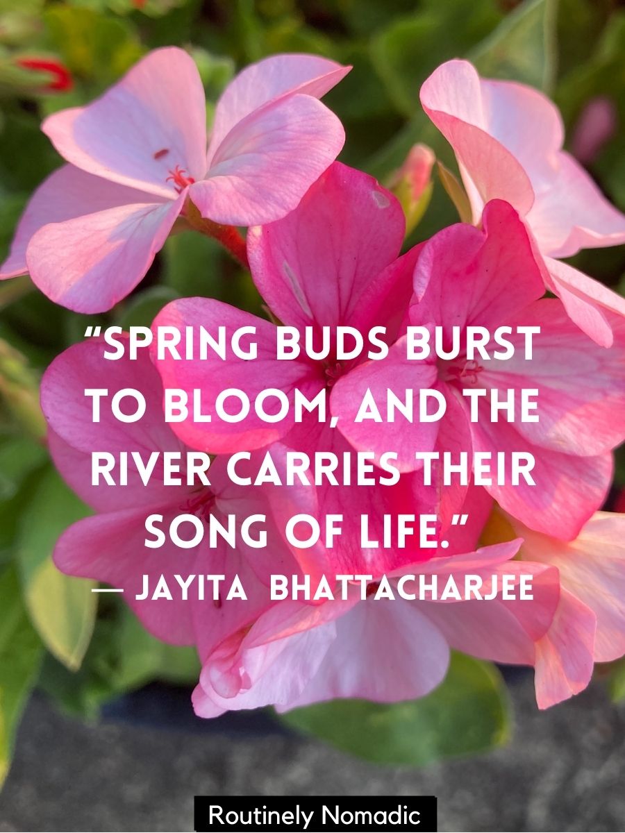 215 Hello May Quotes for that Happy to Welcome a New Month Aesthetic ...