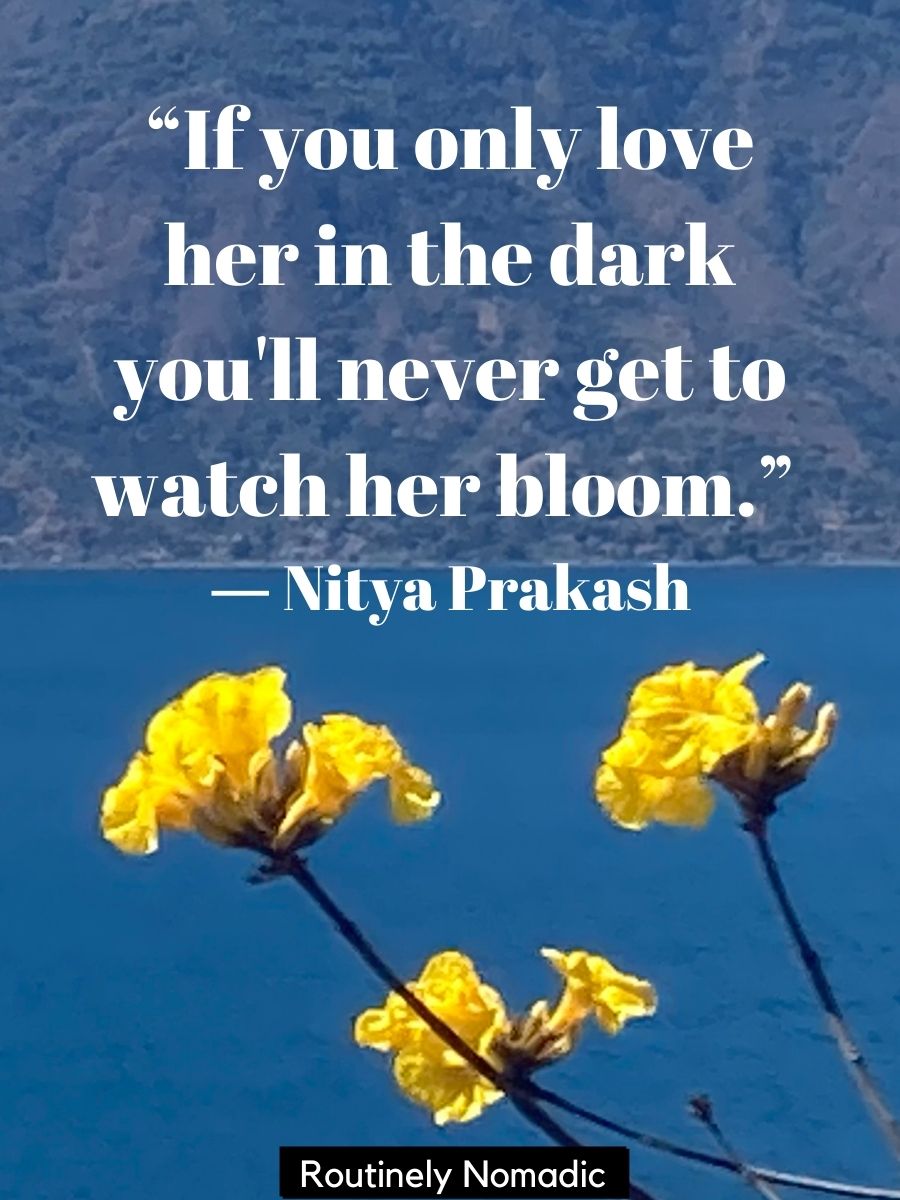 Uplifting Let Yourself Bloom Quotes and Sayings for Positive Growth ...