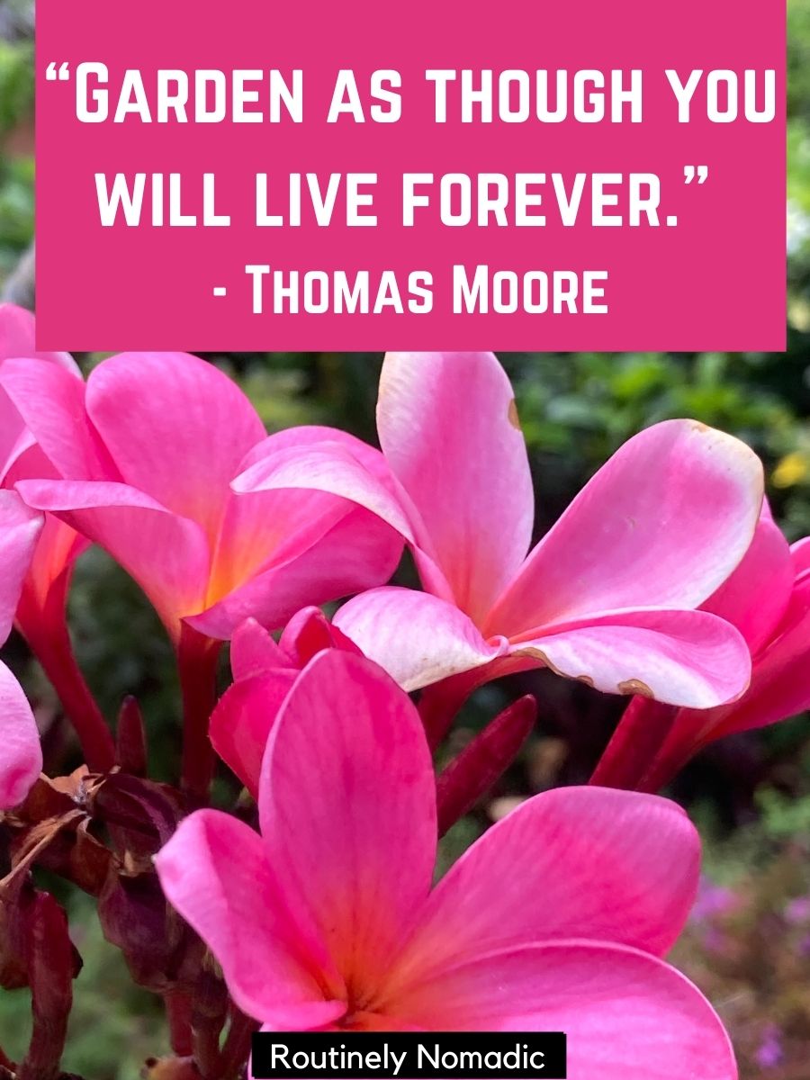 100 Garden Quotes for That Green Thumb - Routinely Shares