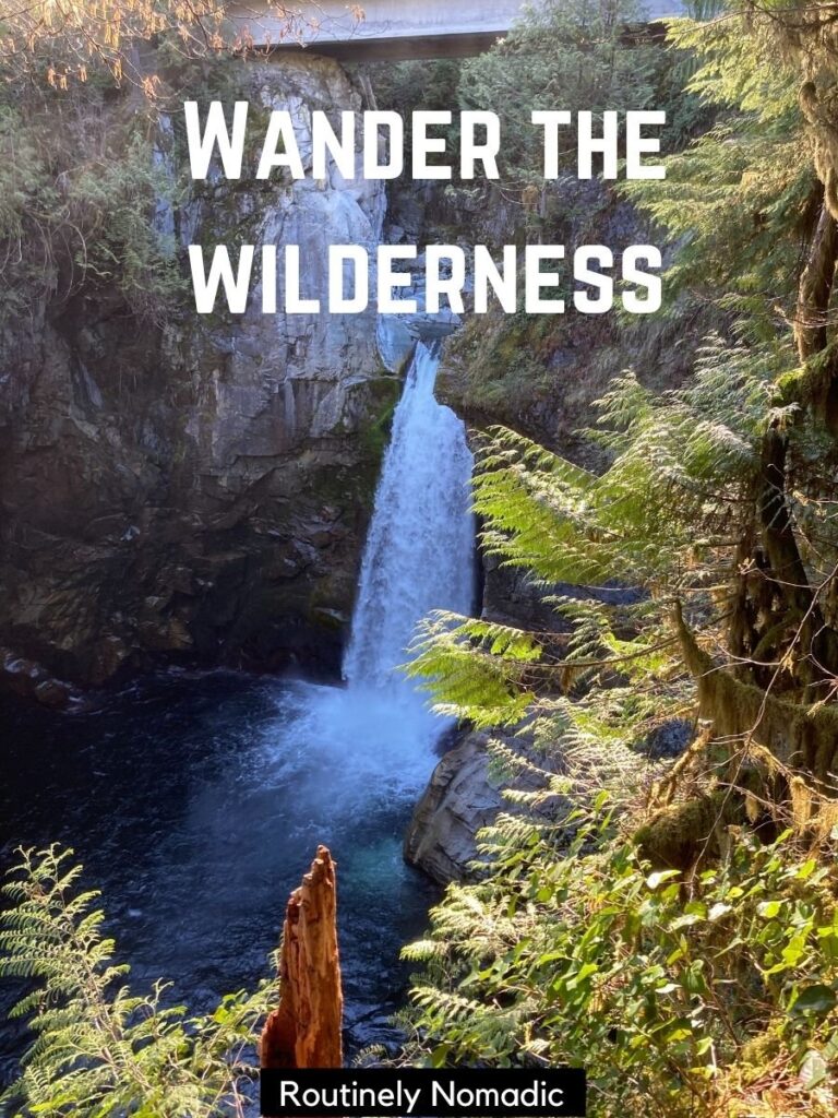 100 Short Aesthetic Green Quotes for all of Life's Green Moments ...
