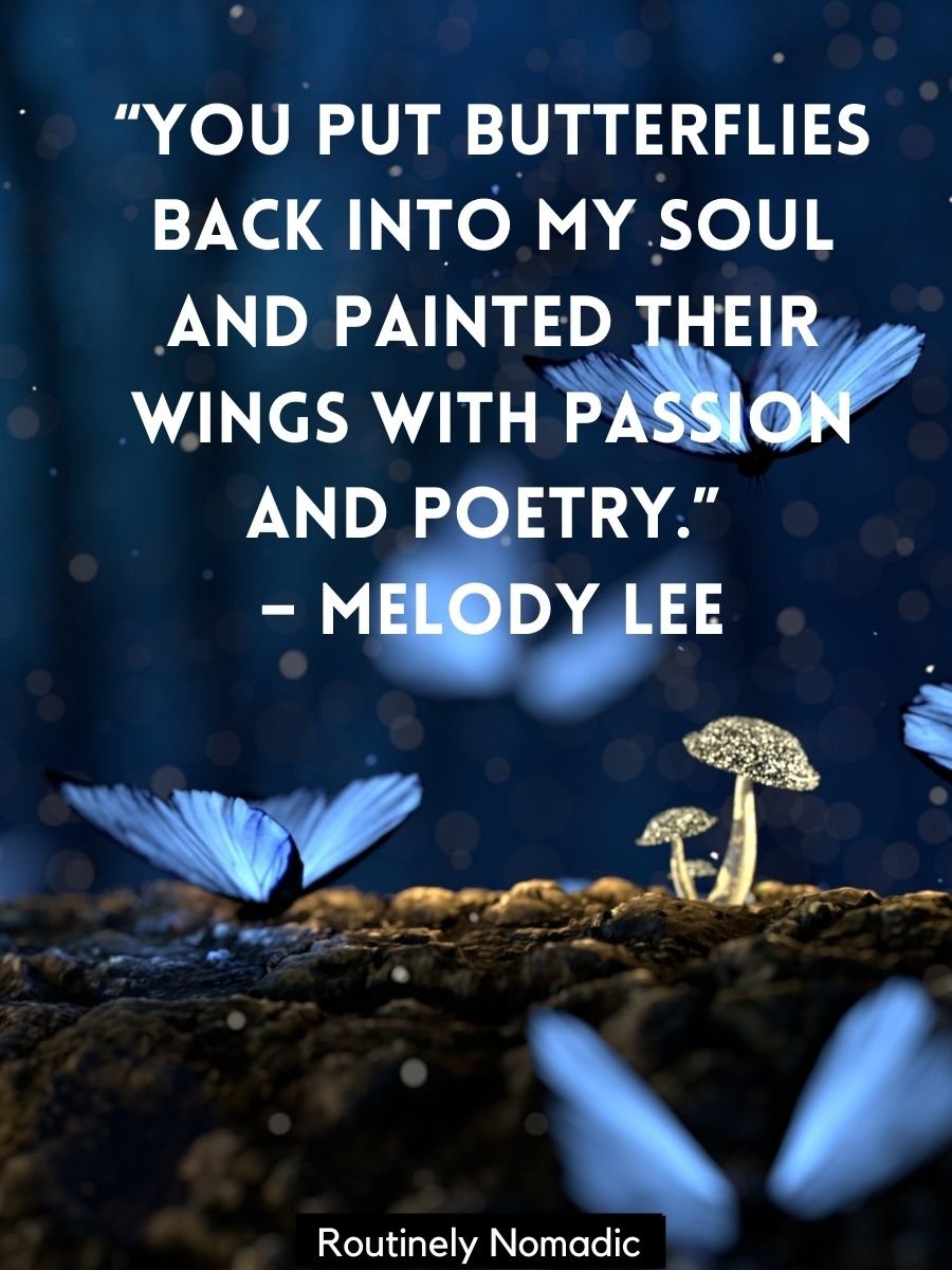 100 Inspring Short Butterfly Quotes for Instagram for When Beauty ...