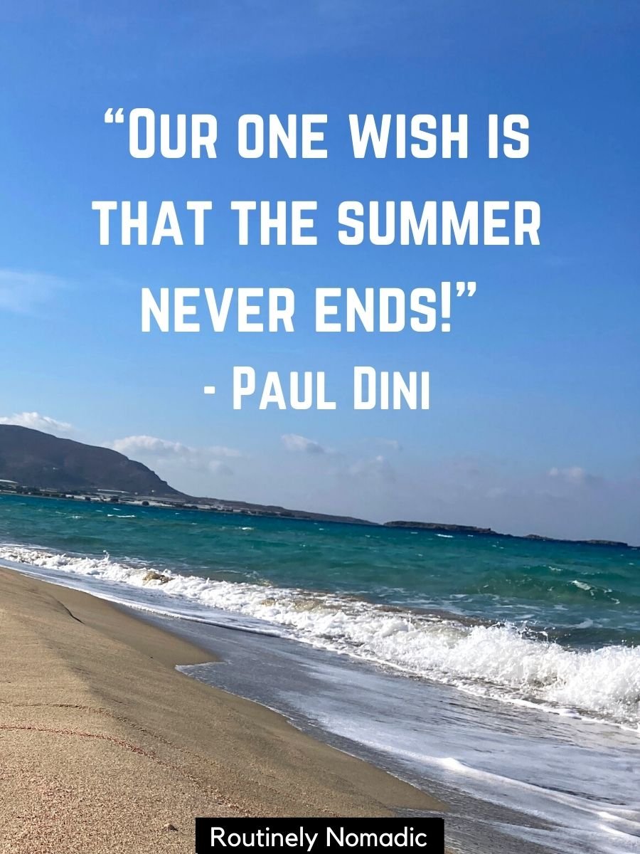 75 Funny Summer Quotes for those Amusing Summertime Feels - Routinely ...