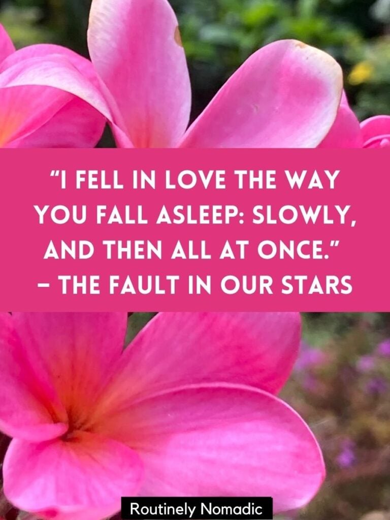 100 Simple Romantic Quotes for that Short and Sweet Love Aesthetic ...