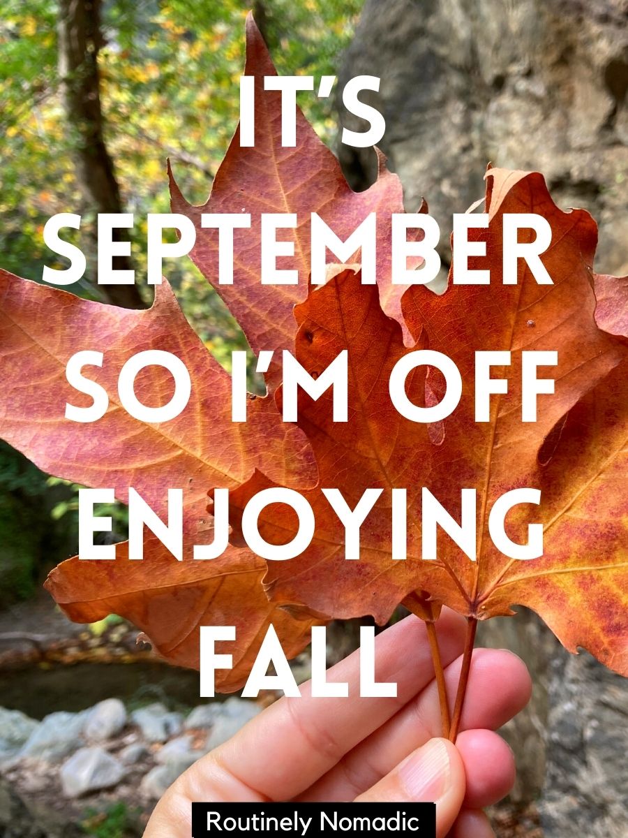 100 Cute Happy Fall Sayings for that Autumn is Here Vibe - Routinely Shares