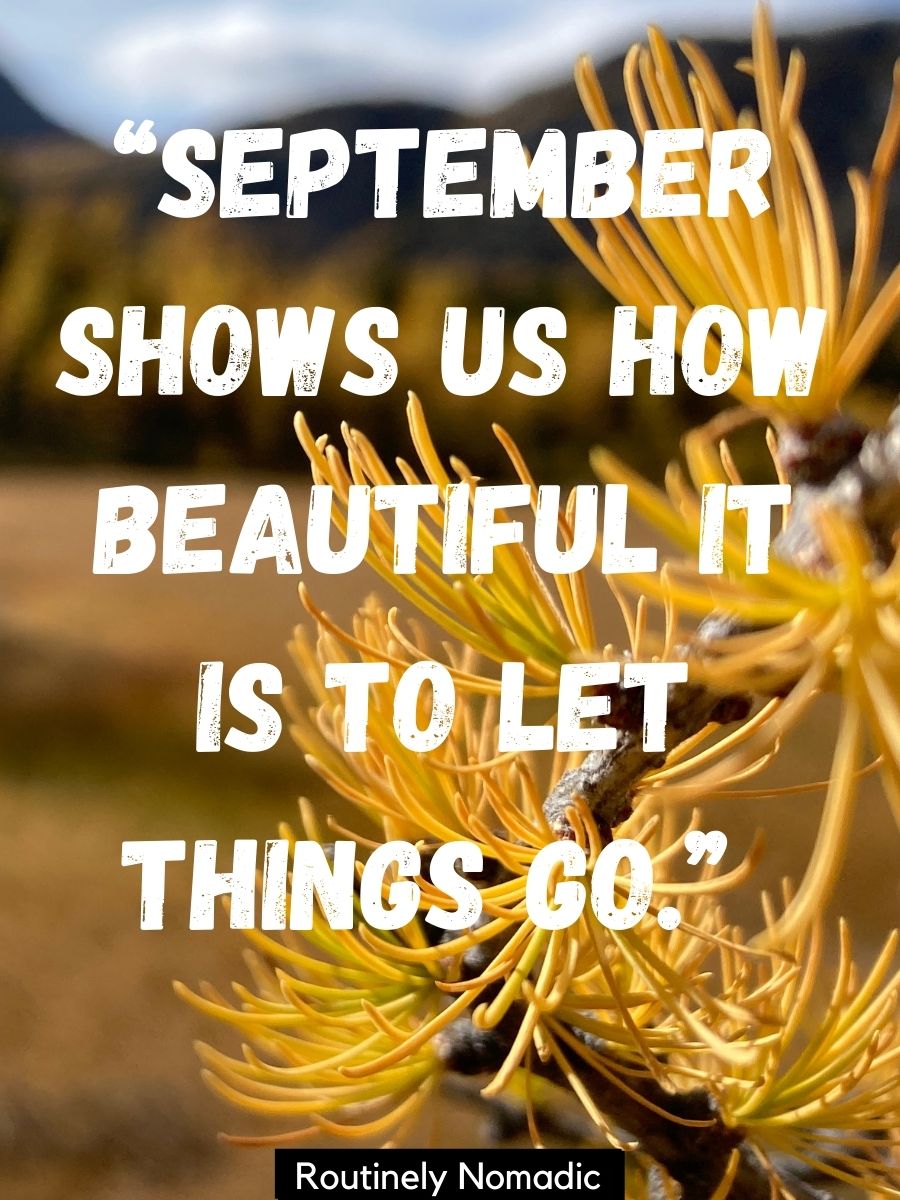 100 Hello September Quotes for that Happy to Welcome a New Month ...