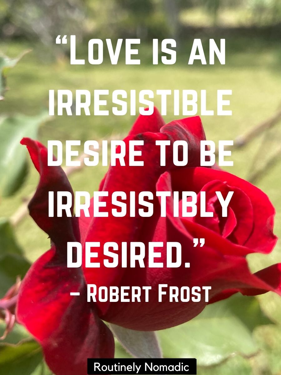 Short Love Quotes: 250 Short Love Sayings - Routinely Shares