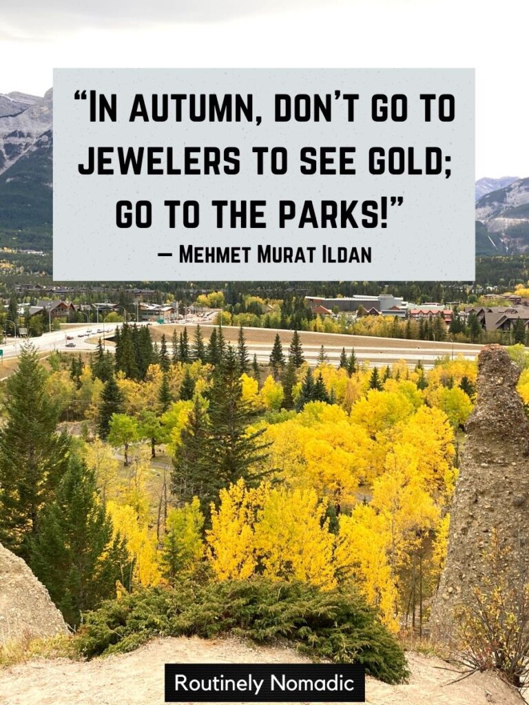 145 Funny Fall Quotes for that Hilarious Autumn Vibe - Routinely Shares