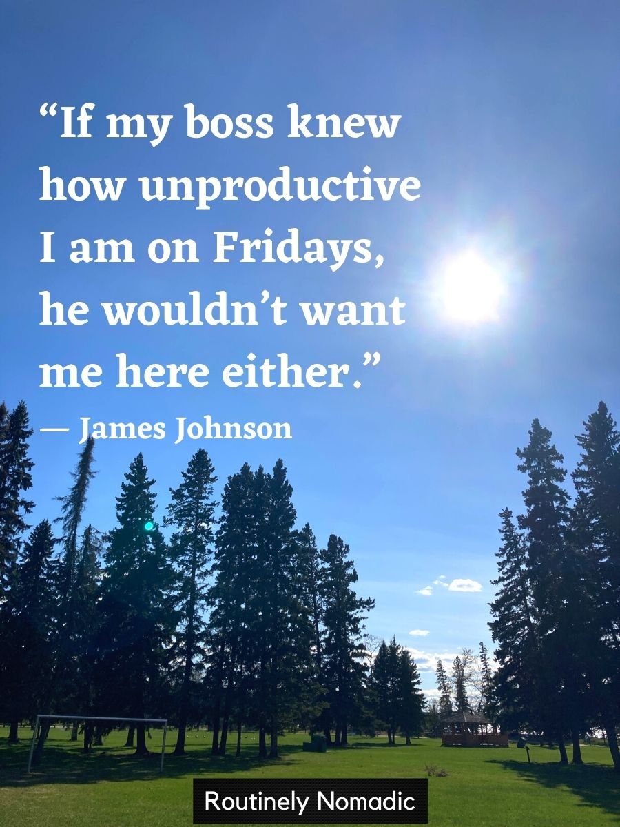 100 Funny Friday Quotes to Add Humor to Your Morning - Routinely Shares