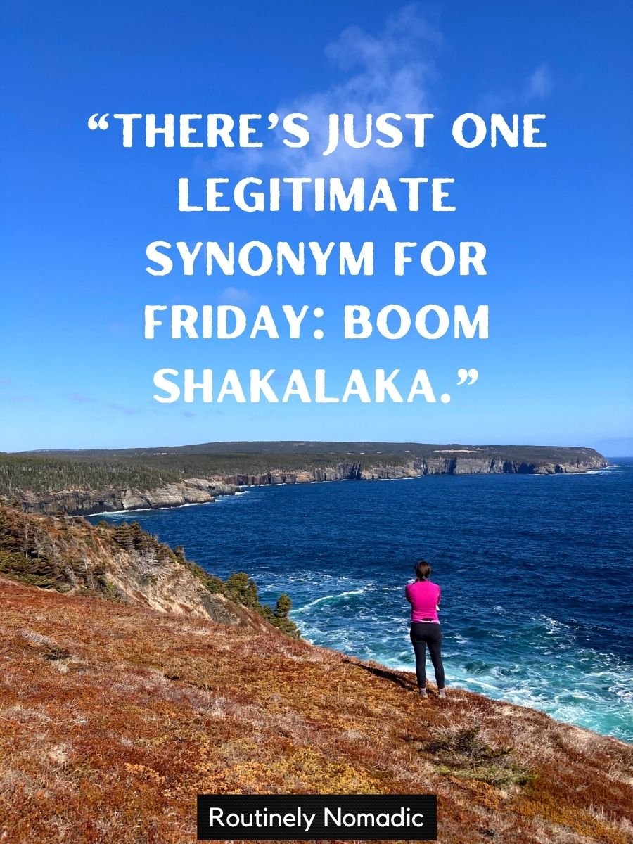 100 Funny Friday Quotes to Add Humor to Your Morning - Routinely Shares