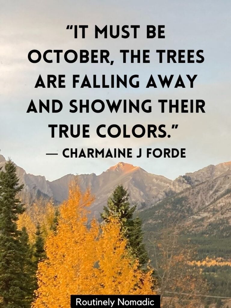 100 Best Hello October Captions for Instagram - Routinely Shares