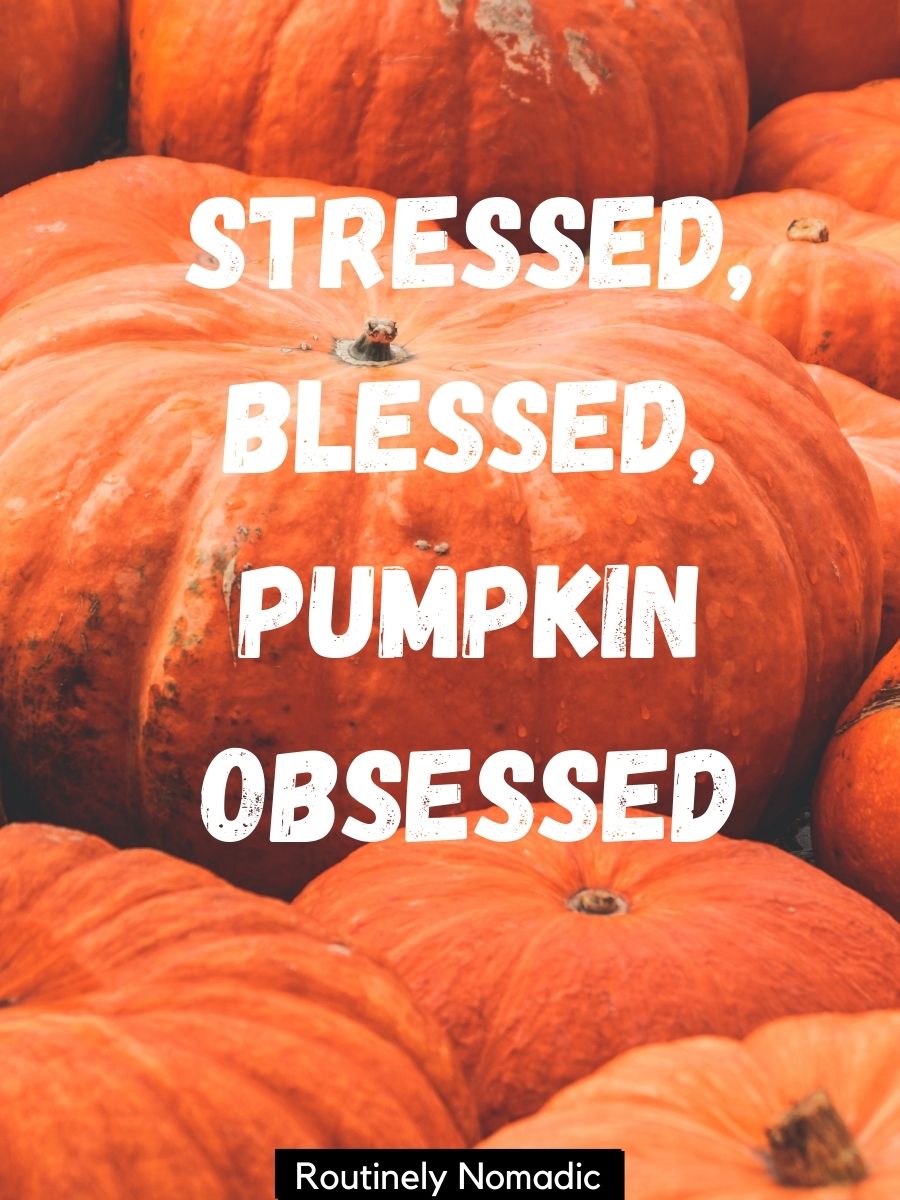 100 Best Hello October Captions for Instagram - Routinely Shares
