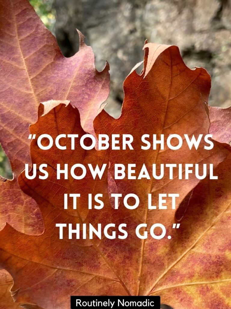 100 Hello October Quotes for When You are Happy to Welcome a New Month ...