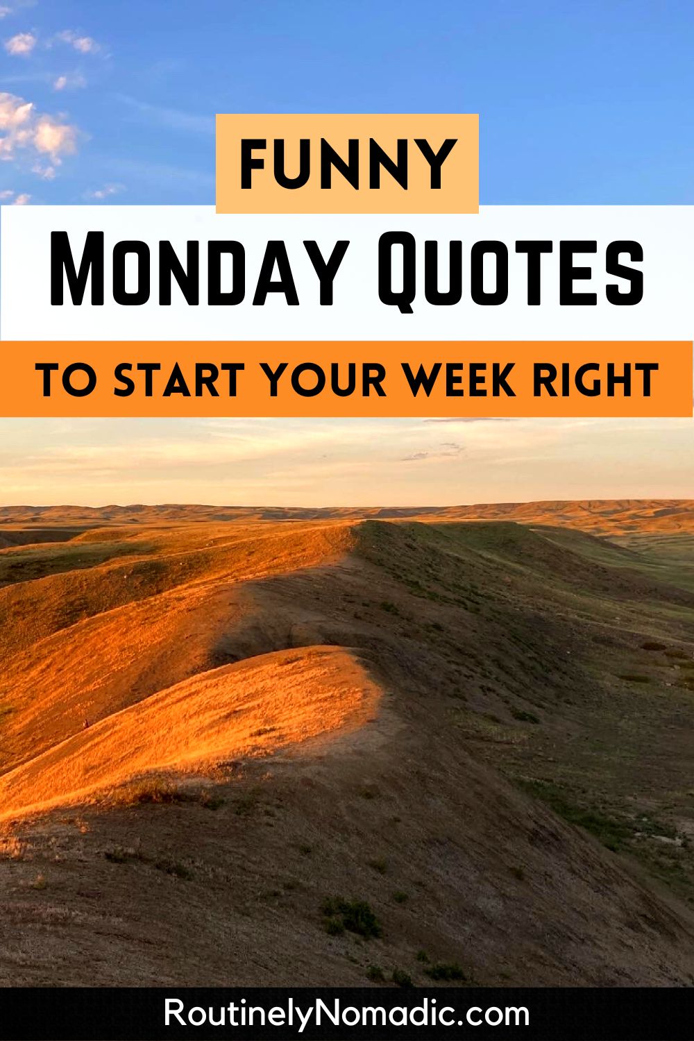 140 Funny Monday Quotes and Sayings to Start Your Week With Humor ...