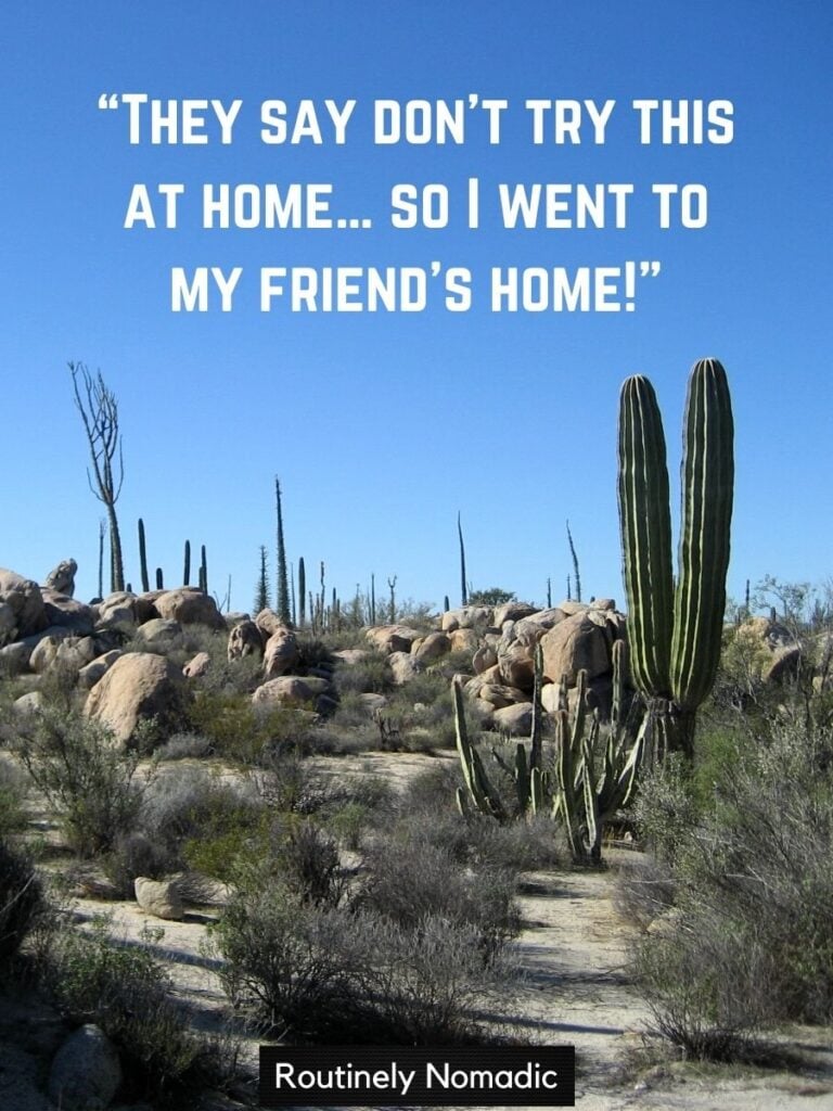 100 Funny Sayings to Make You Laugh - Routinely Shares