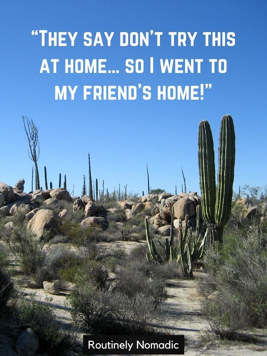 100 Funny Sayings to Make You Laugh - Routinely Shares