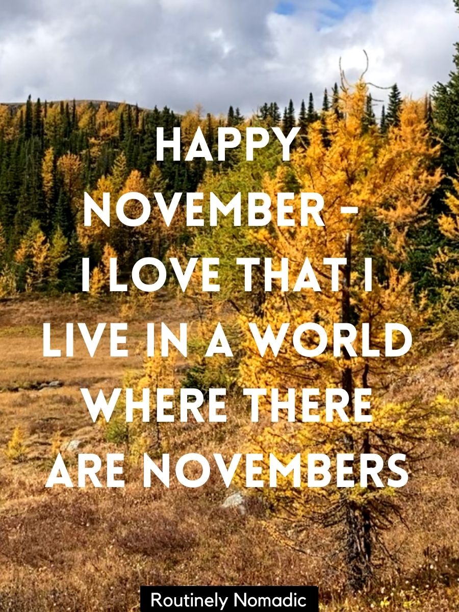 145 Hello November Quotes for When You are Happy to Welcome the Most ...