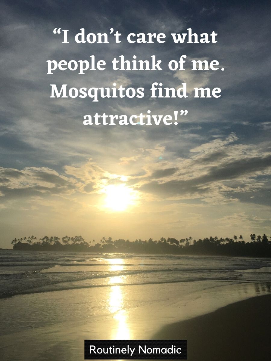 100 Funny Sayings to Make You Laugh - Routinely Shares