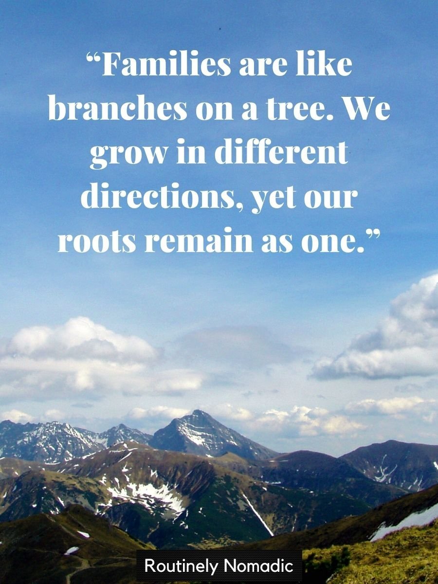 Happy Family Quotes and Sayings to Share the Positivity - Routinely Shares