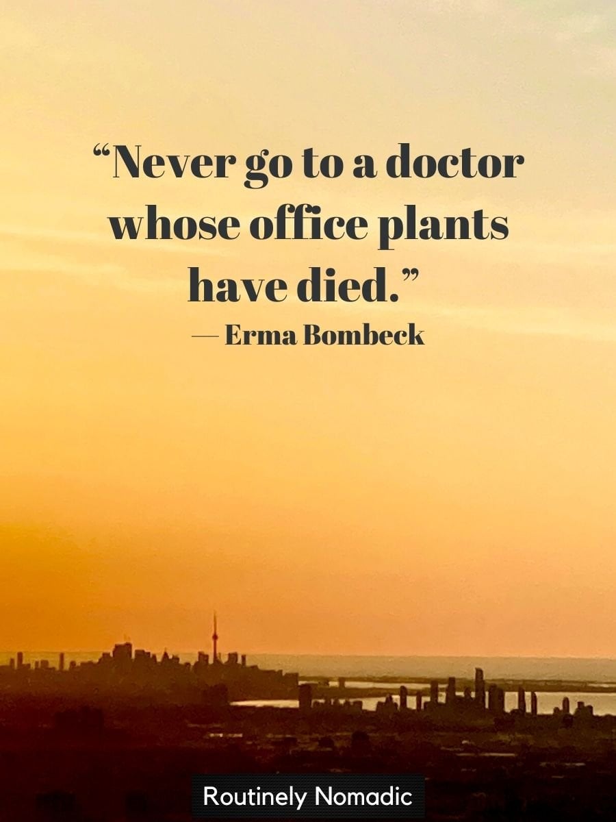 100 Short Funny Work Quotes to Add Humor to the Office - Routinely Shares