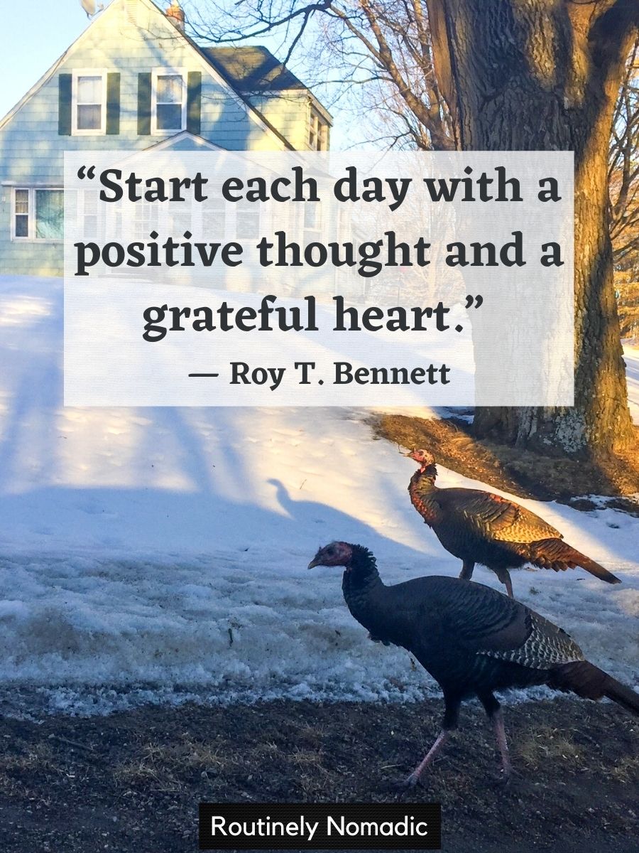 Short Gratitude Quotes and Sayings About Thankfulness - Routinely Shares