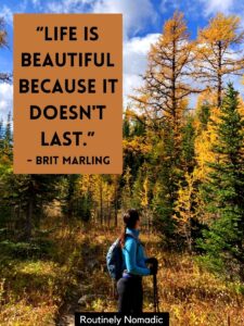 100 Short Life is Good Quotes to Live By About Happiness and Positive ...