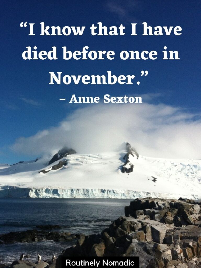 145 Hello November Quotes for When You are Happy to Welcome the Most ...