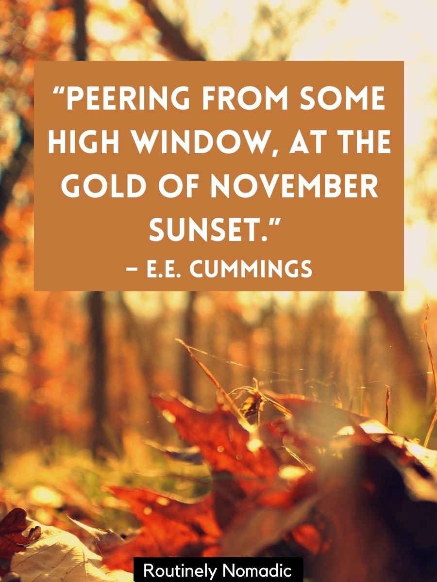 145 Hello November Quotes for When You are Happy to Welcome the Most ...