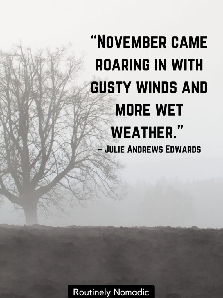 145 Hello November Quotes for When You are Happy to Welcome the Most ...